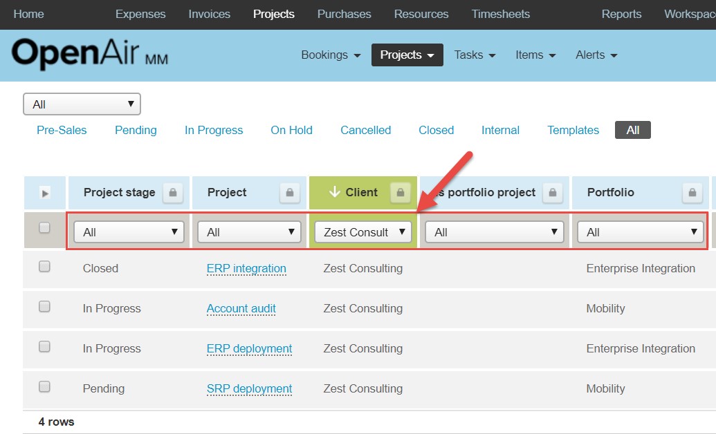 Using Advanced Filters in NetSuite OpenAir - RSM Technology
