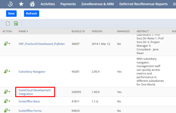 Salto to NetSuite Integration for Cutover - RSM Technology